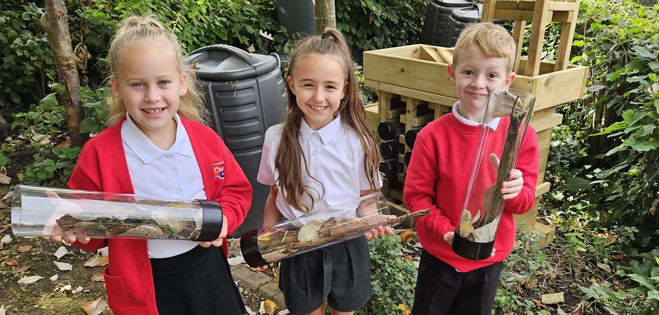 Celebrate National Insect Week 2024! | Pentagon Play