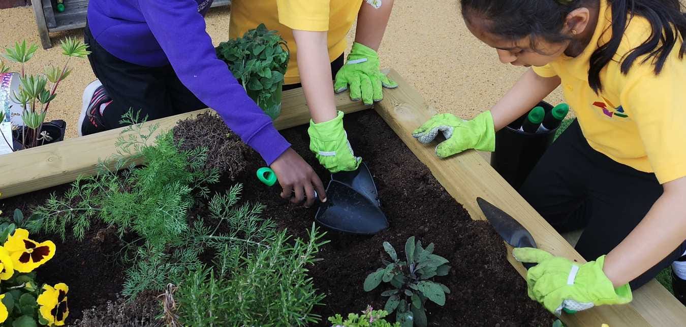 Why Growing a Garden is Great for All Children! | Pentagon Play